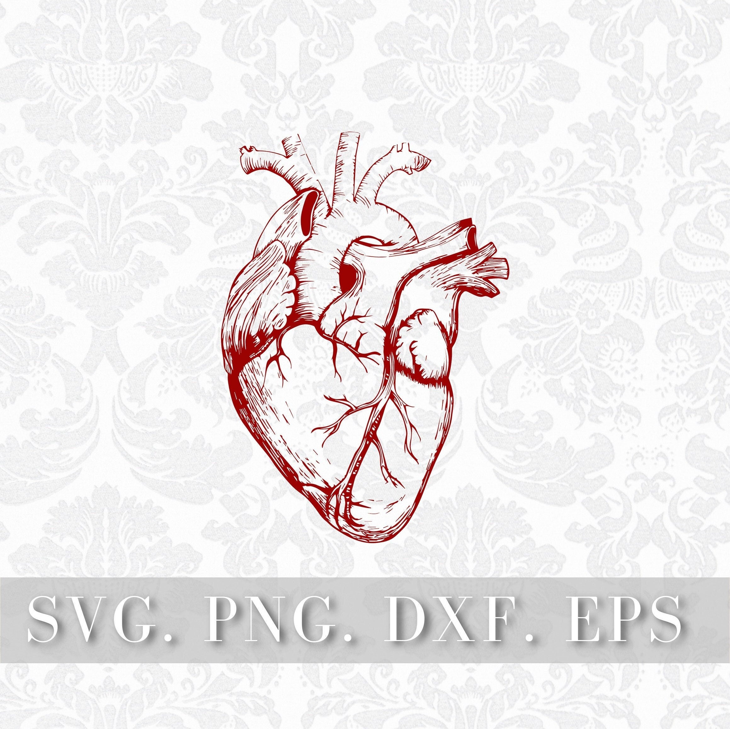 Heart Svg, Png, Dxf, Eps, Laser File, Anatomical Heart Svg/clip Art ...