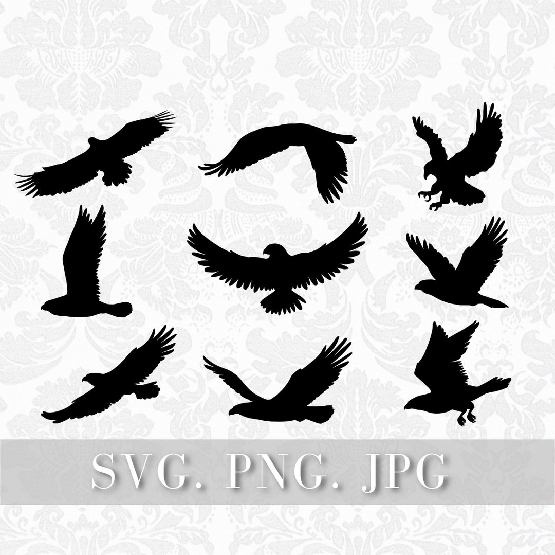 Eagle Svg Bundle, Eagle Svg/png/jpg for Cricuit, Bird Silhouette Svg ...