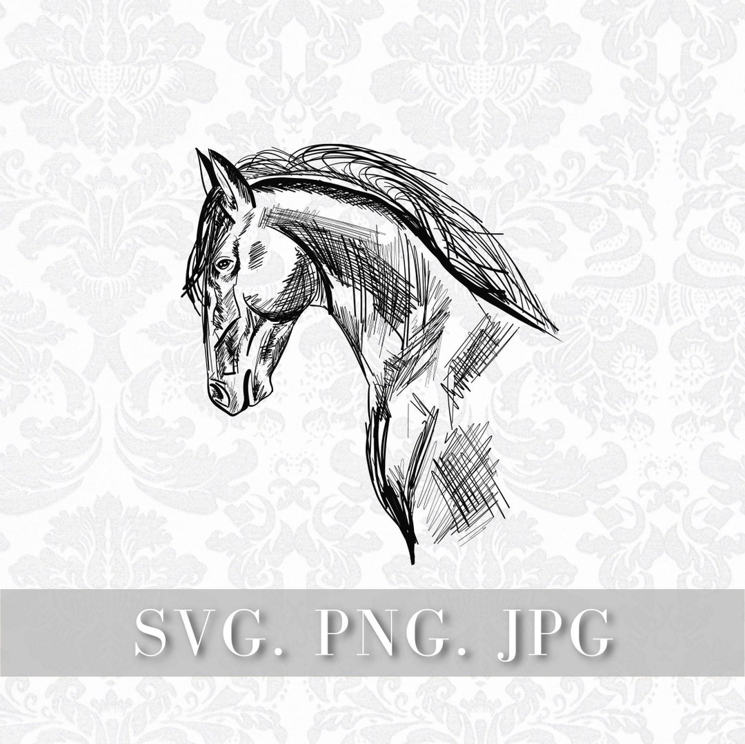 Horses Svg Horse Drawing Svg Horse Head Svg Beautiful - Etsy