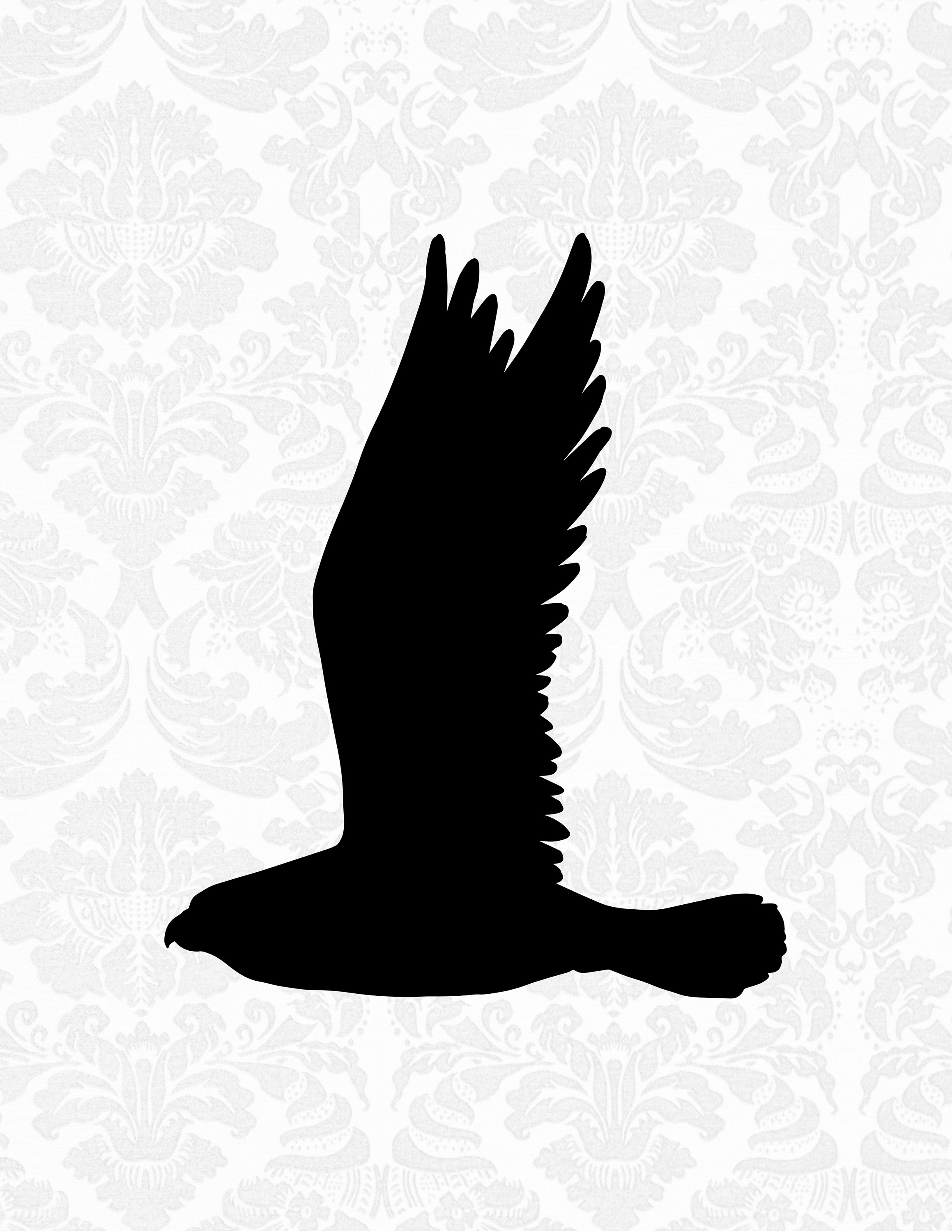 Eagle Svg Bundle, Eagle Svg/png/jpg for Cricuit, Bird Silhouette Svg ...