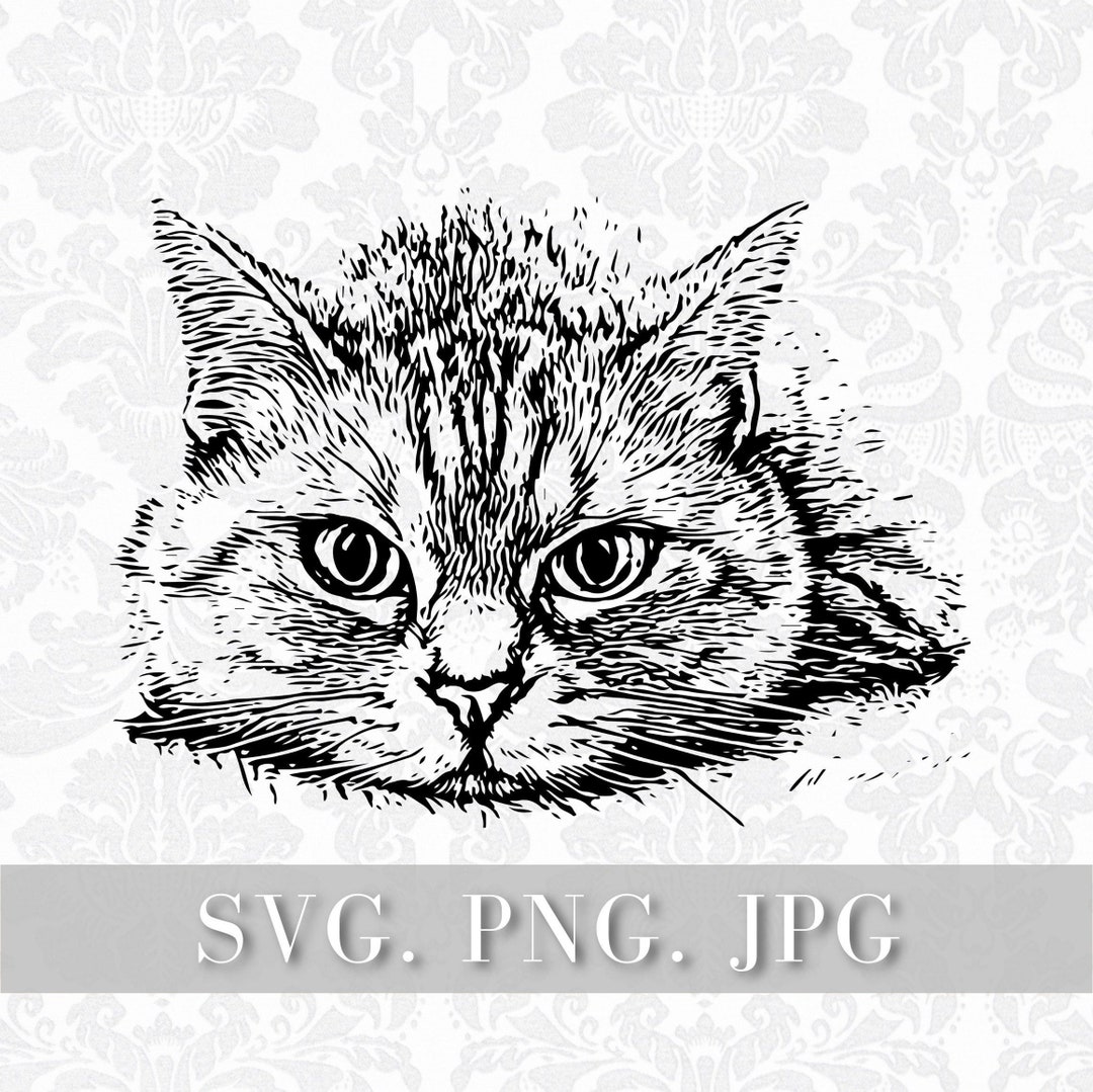 Katzen Gesicht Zeichnung Svg Katzen Svg Png Jpg Haustier - Etsy.de