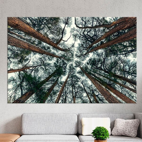 Forest Wall Art - Etsy