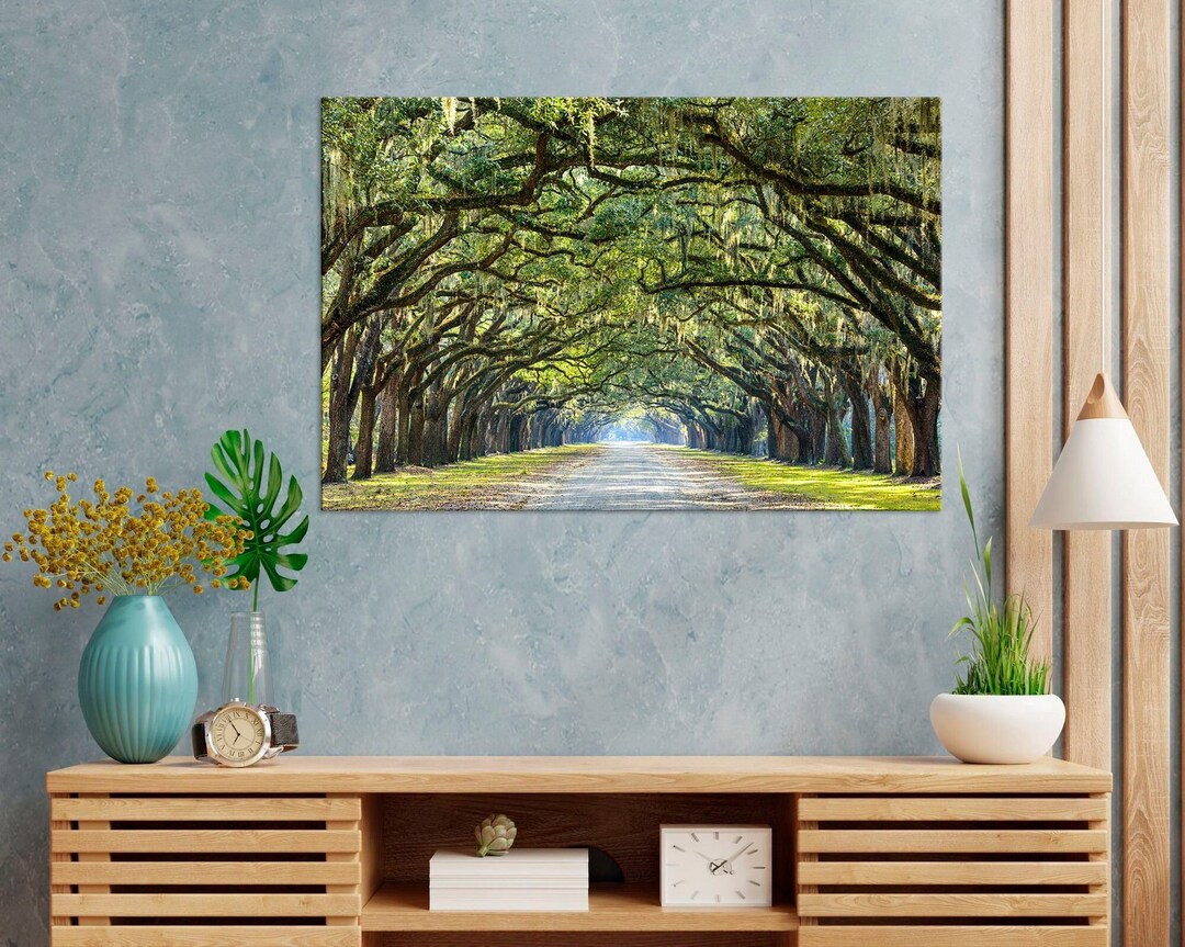 Savannah Wall Art Oak Trees Print on Canvas Room Decor Wall Art Set ...