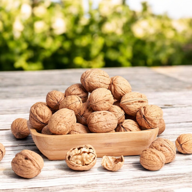 Black Walnut Shells - Etsy