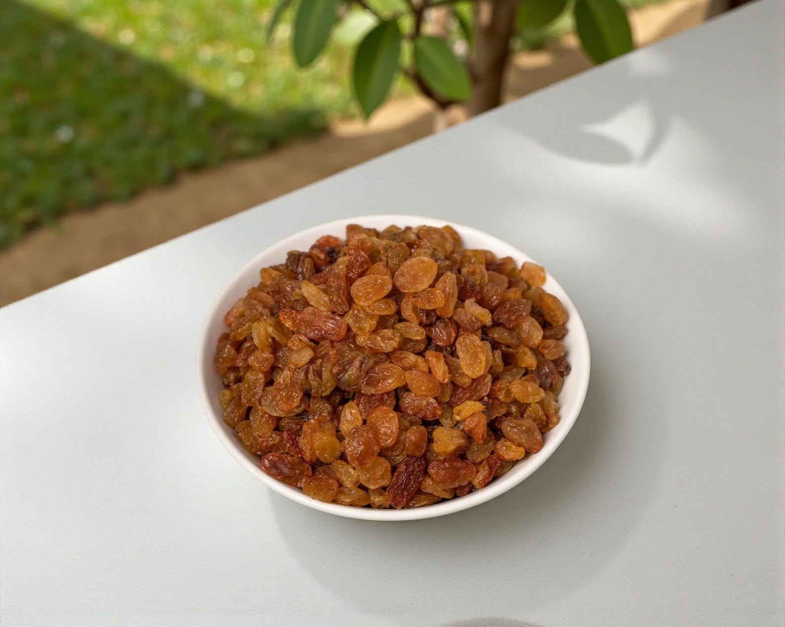 Seedless Dried Grapes - Natural, Traditional Drying, Sweet and Healthy ...