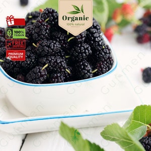 Black Mulberry Jam, Healthy Snack With High Antioxidant Content, Fruit ...