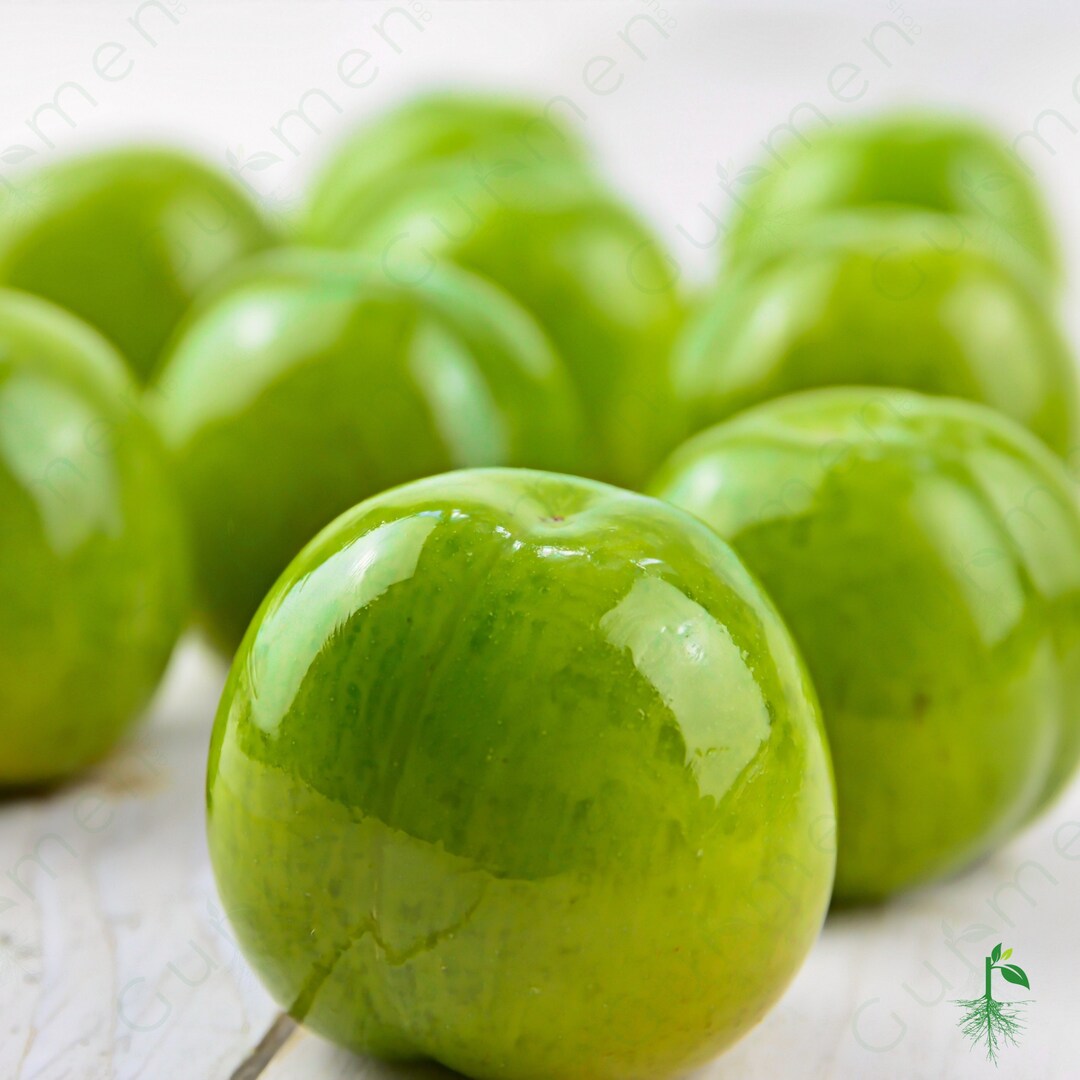 Fresh Green Plums Sour and Refreshing Spring Fruit, Janerik - Etsy