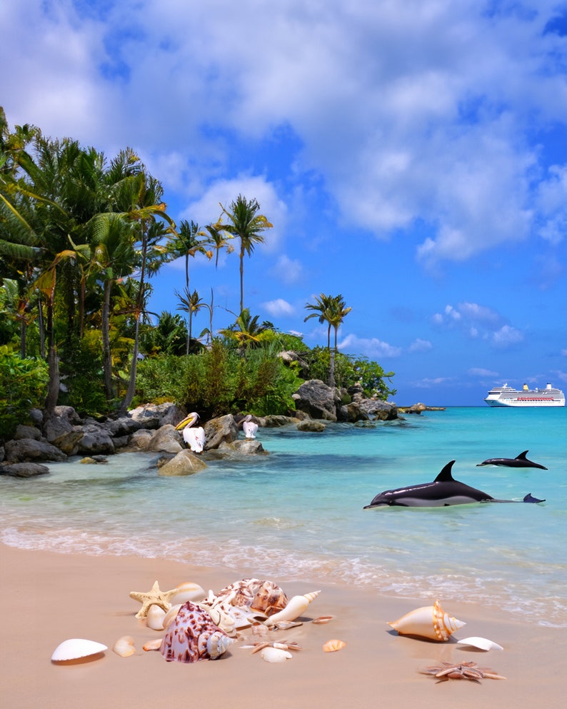 Cinematic Beach Scene, Dolphins Swimming, Cruise Ship in the Distance ...