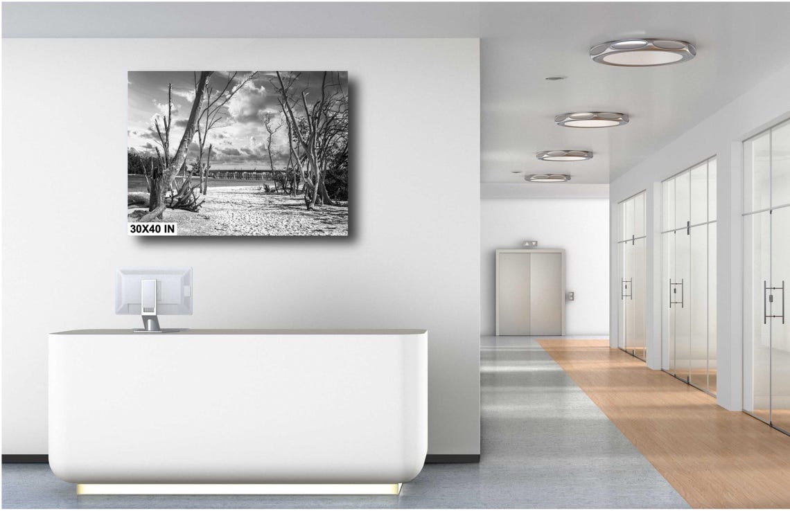 Beer Can Island Longboat Key Florida B&W Tropical Landscape Wall Decor ...