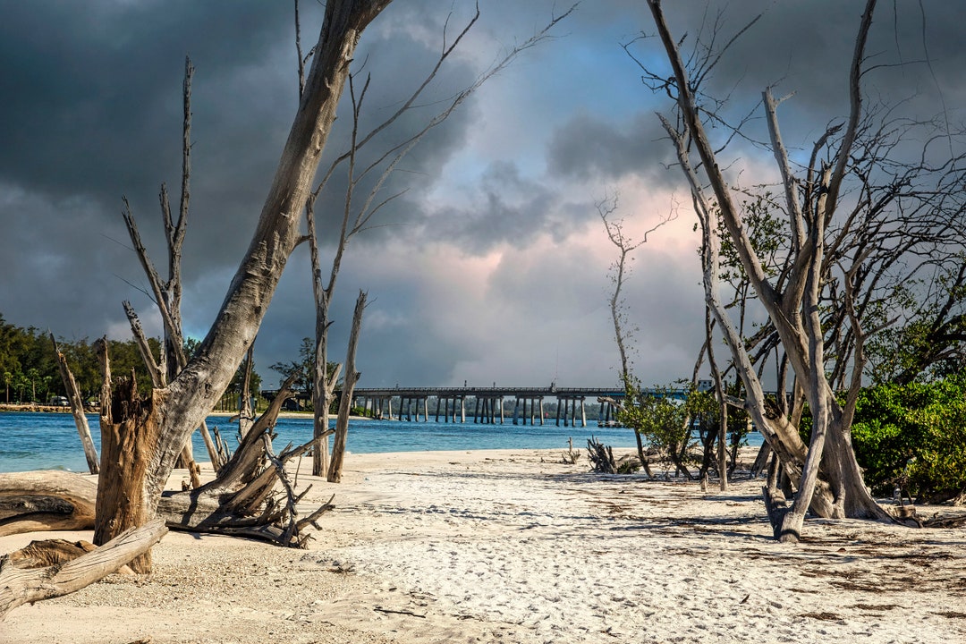Beer Can Island Longboat Key Florida Tropical Landscape Wall Decor ...