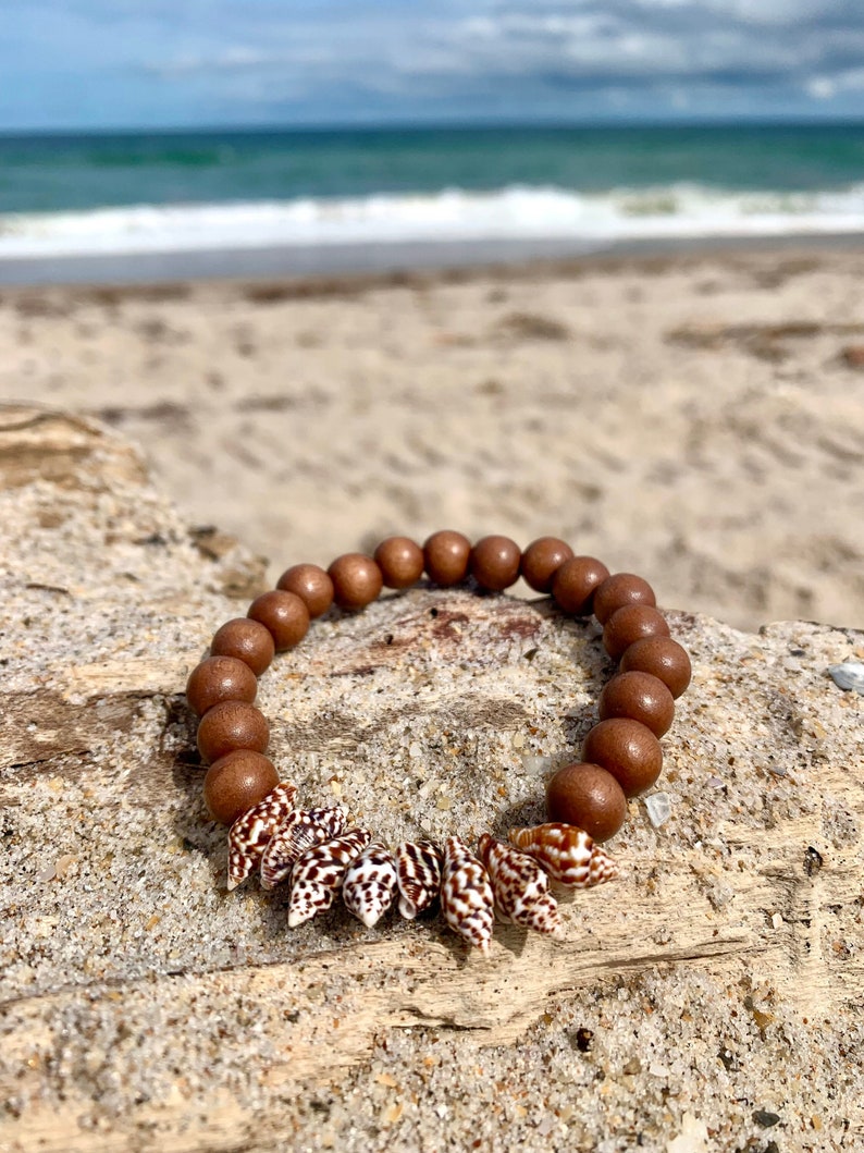 Tiny Tiger Shells (8) With Brown Beads Bracelet - Etsy