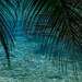 Ocean Palms--digital Download - Etsy