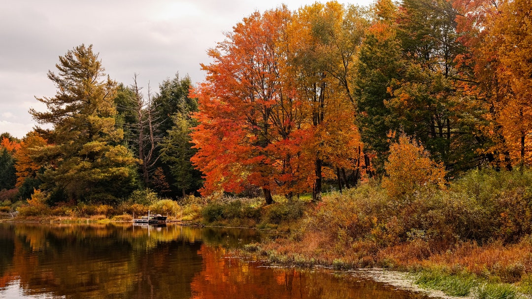 Fall Foliage, Lake Scene--digital Download - Etsy