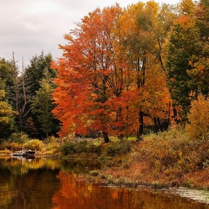 Fall Foliage, Lake Scene--digital Download - Etsy