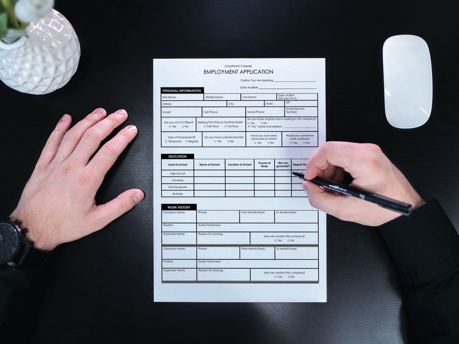 Editable Employment Application Form: Printable PDF & MS Word Template ...