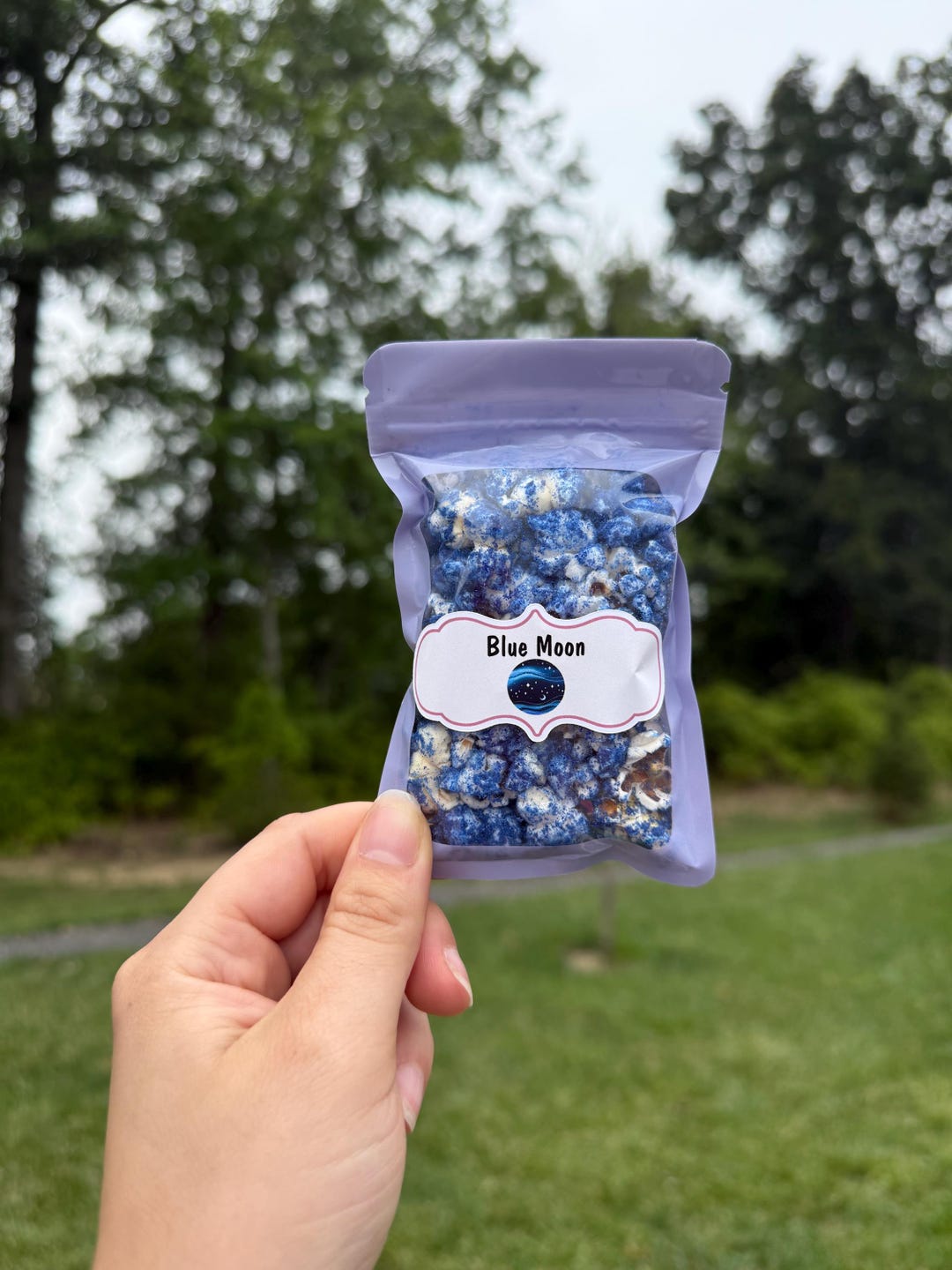 Blue Moon- Hermit Crab Popcorn - Healthy Snacks - Hermit Crab Food - Etsy