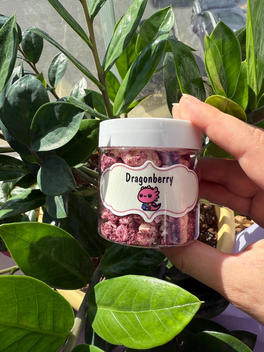 Dragonberry - Hermit Crab Popcorn - Healthy Snacks - Hermit Crab Food ...