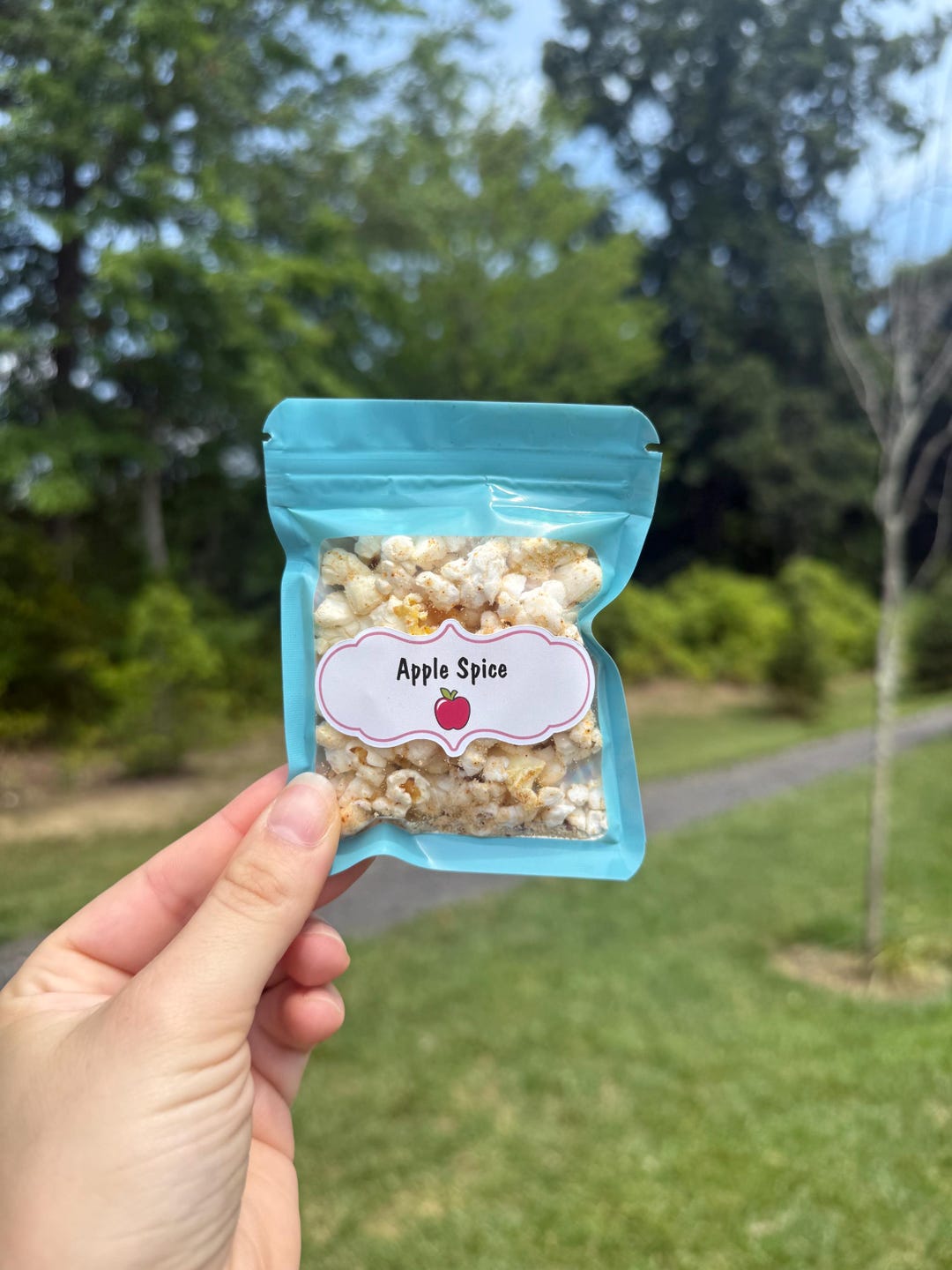 Apple Spice- Hermit Crab Popcorn - Healthy Snacks - Hermit Crab Food - Etsy