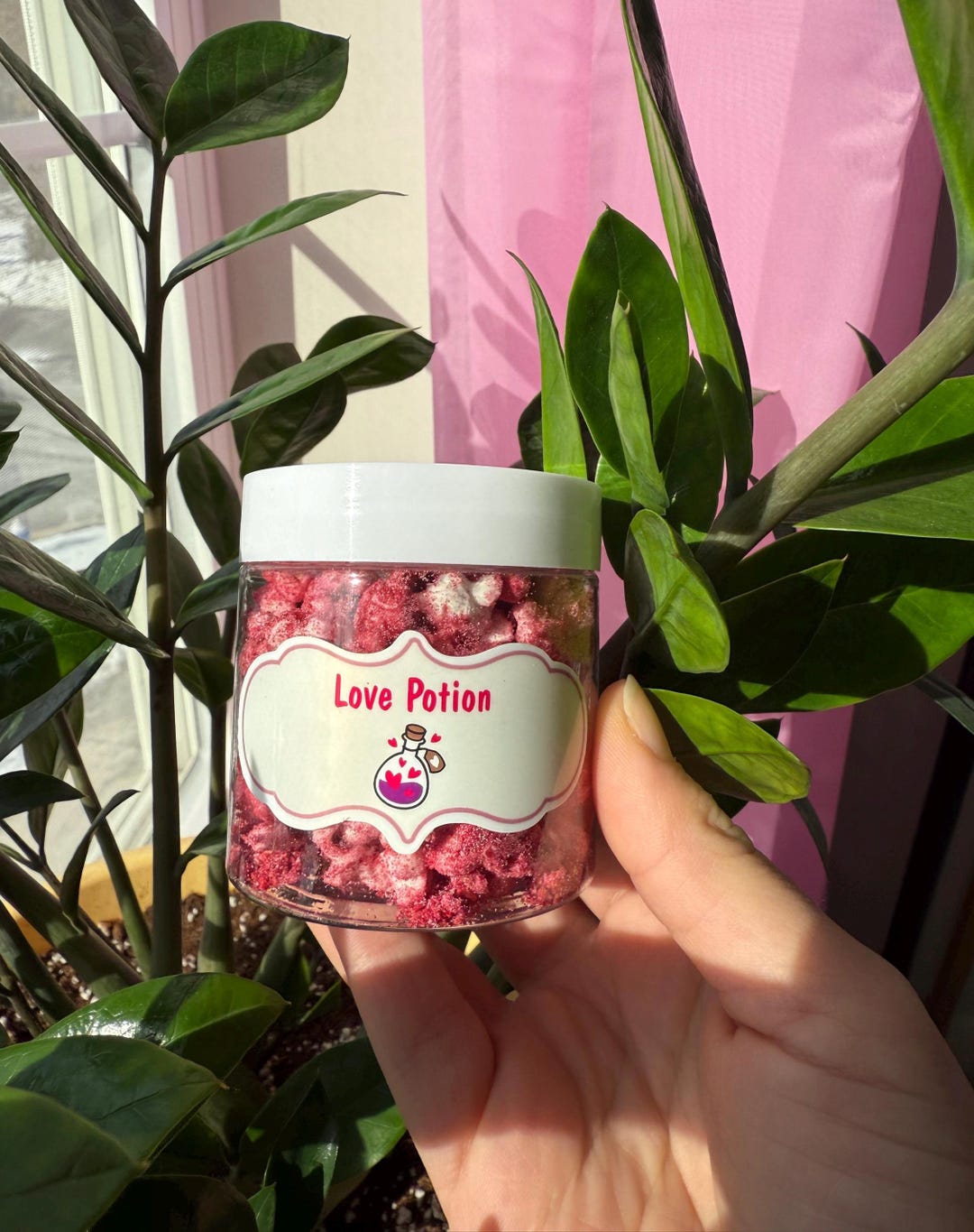 Love Potion - Hermit Crab Popcorn - Healthy Snacks - Hermit Crab Food ...