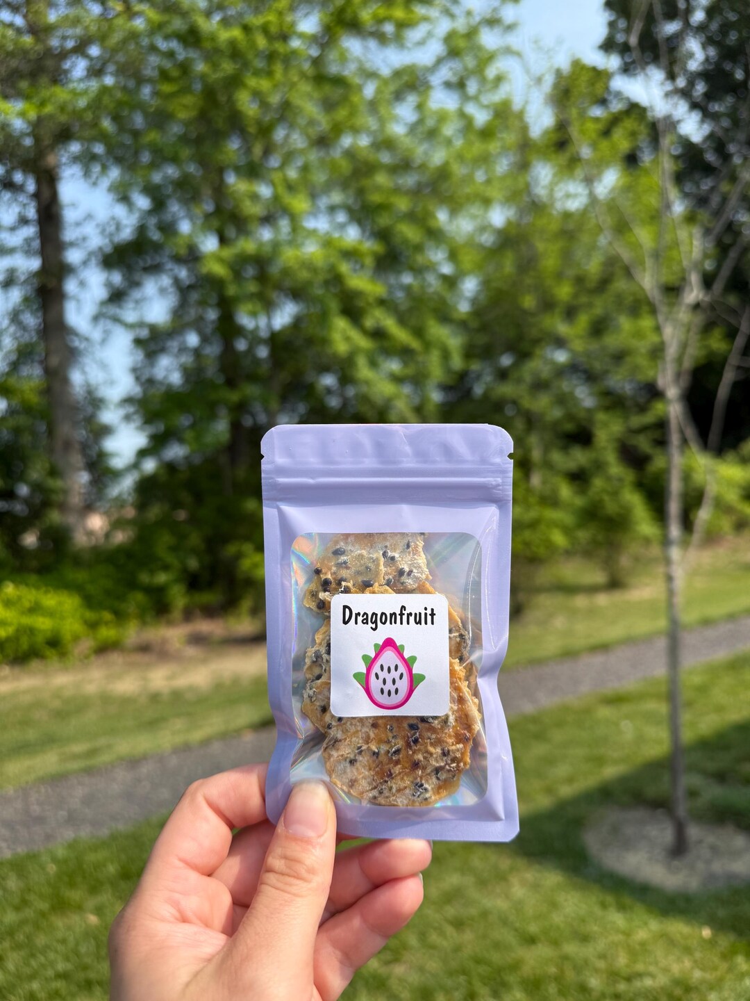 Dried Dragonfruit - Hermit Crab Snacks - Healthy Snacks - Hermit Crab ...