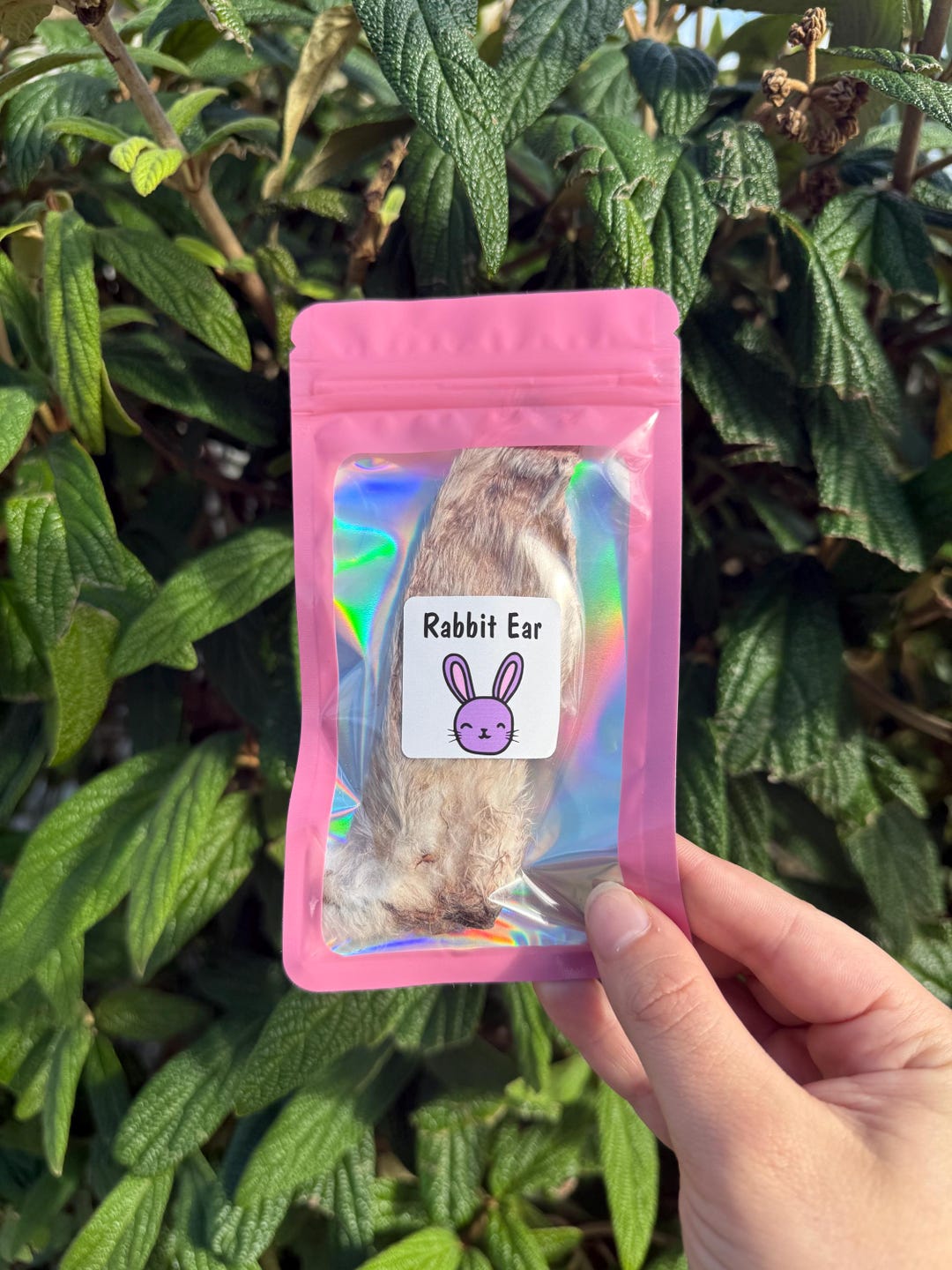 Rabbit Ear - Hermit Crab Foraging - Healthy Snacks - Hermit Crab Food ...