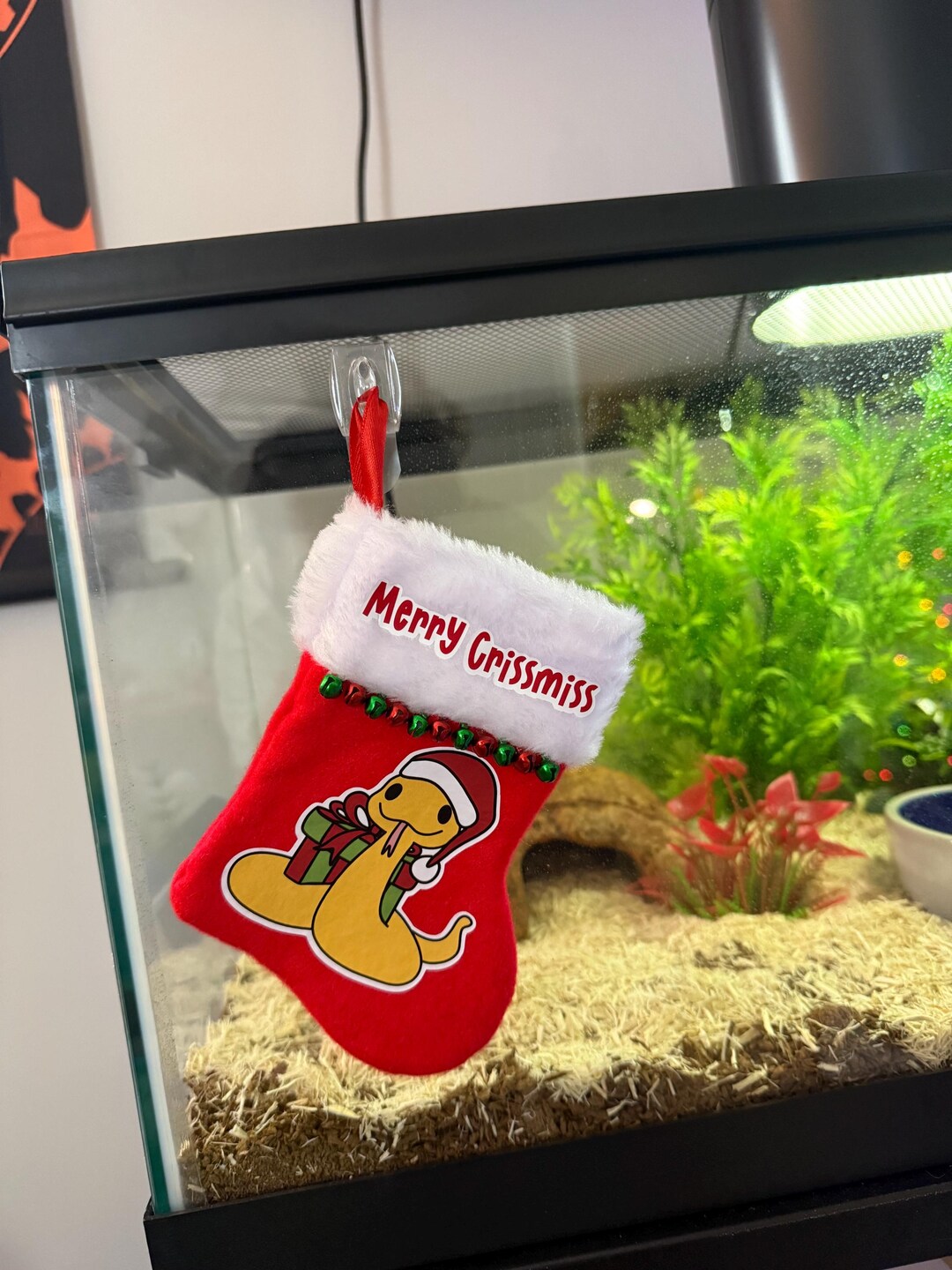 Merry Crissmiss - Pet Snake Christmas Stocking and Sticker - Laminated Glossy Sticker - Vinyl ...