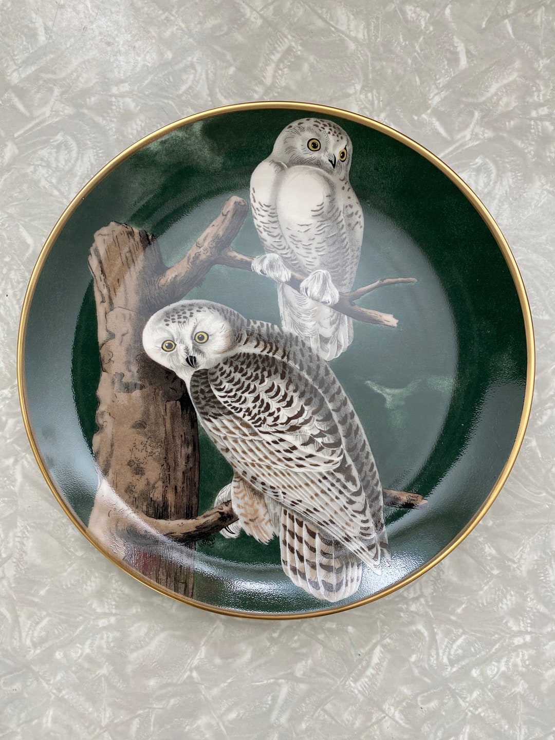 Snowy Owl Plate - John James Audubon - Etsy