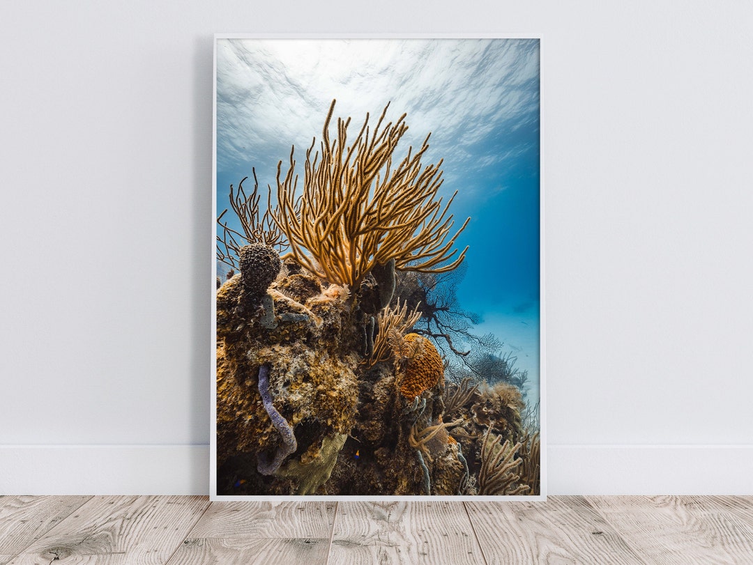 Underwater Digital Print | Coral Reef Prints | Ocean Prints ...