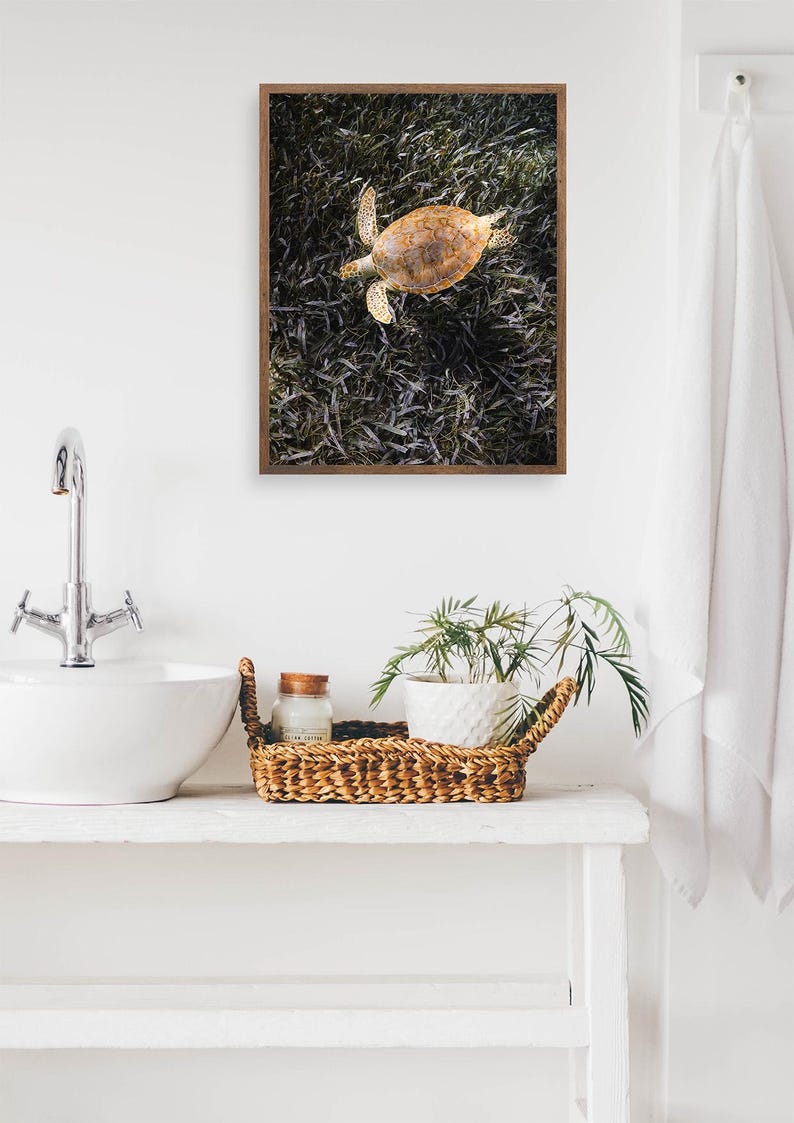 Sea Turtle Digital Print | Ocean Prints | Swimming Sea Turtle ...