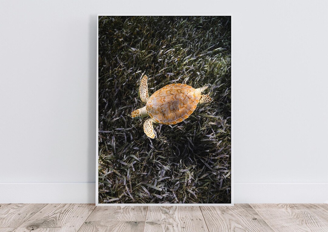 Sea Turtle Digital Print | Ocean Prints | Swimming Sea Turtle ...