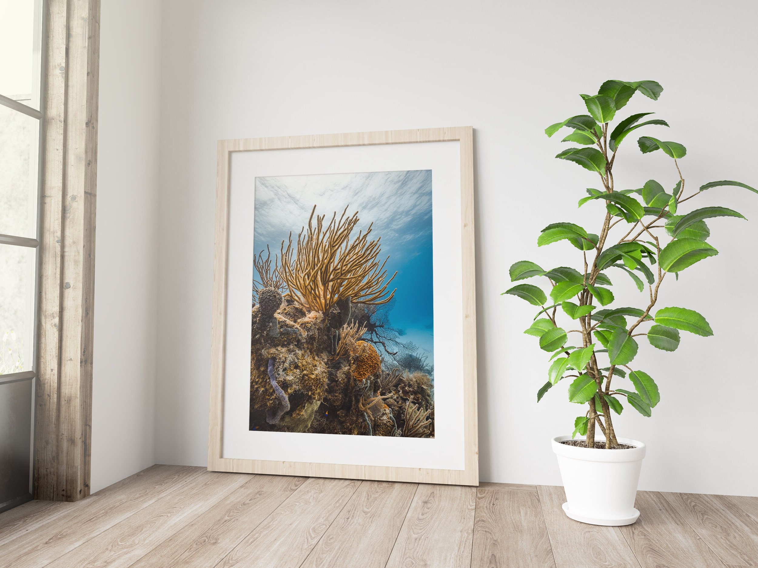 Underwater Digital Print | Coral Reef Prints | Ocean Prints ...