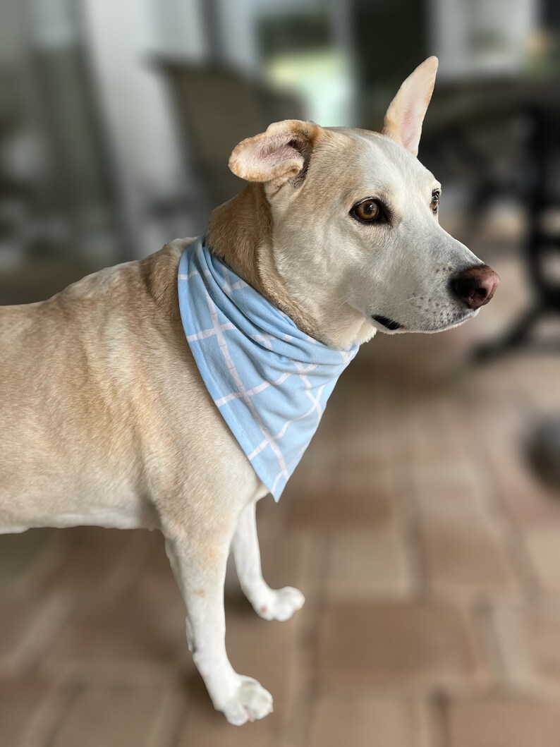 Pet Bandana Scarf – Light Blue and White Bamboo Trellis Lattice Design ...