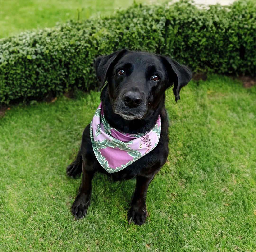 Pet Bandana Scarf – Plum Checkered Trellis Design – soft, Stretchy ...