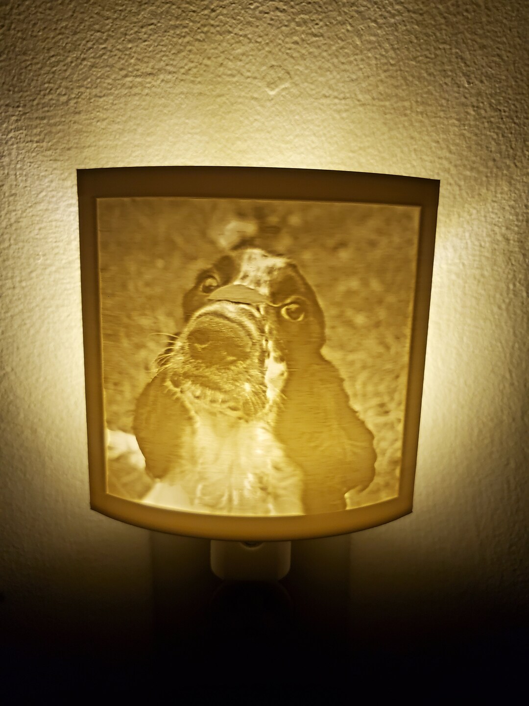 Lithophane Nightlights / Pictures / Unique Photo / Family Photo - Etsy