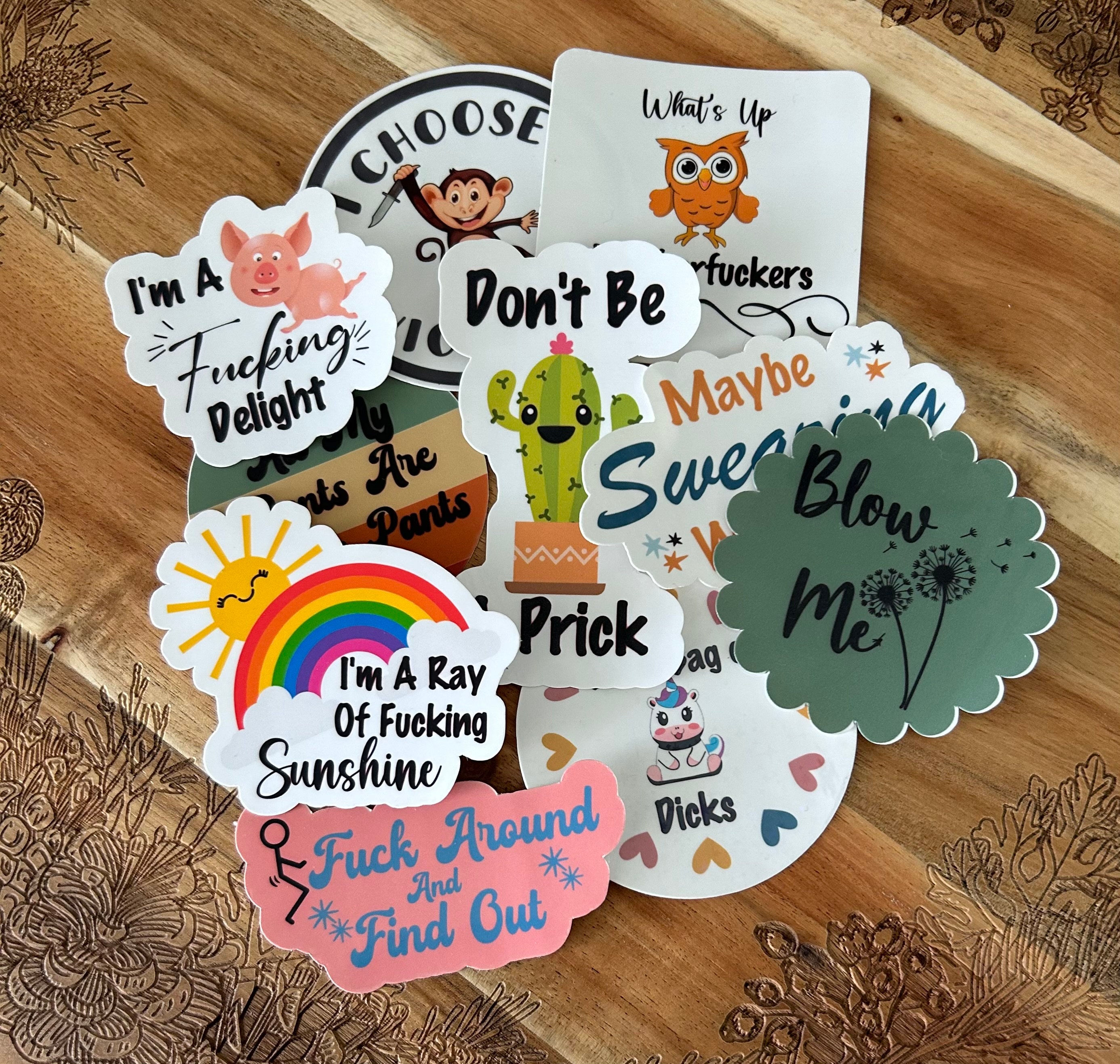 Adult Die-cut Stickers/ Funny Sticker Bundle/ Waterproof - Etsy