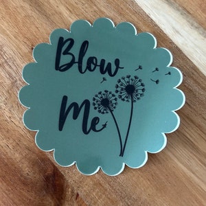 Adult Die-cut Stickers/ Funny Sticker Bundle/ Waterproof Stickers - Etsy