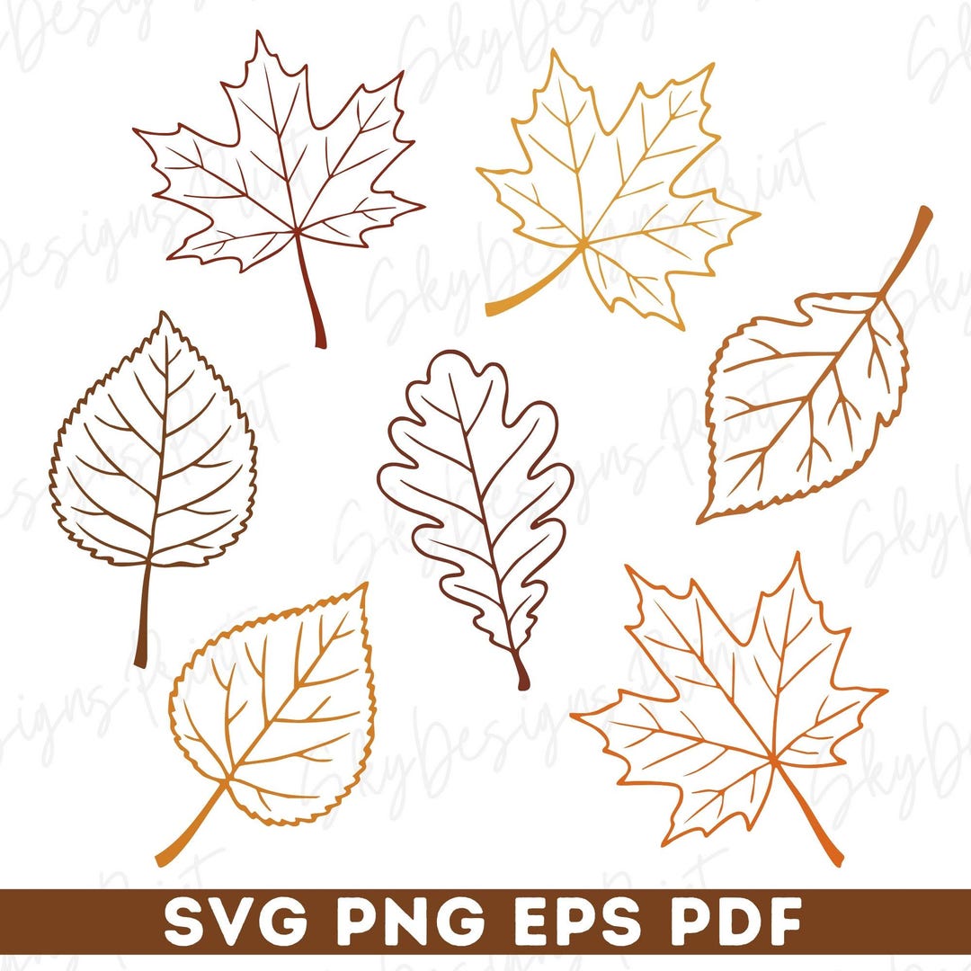 Fall Leaves SVG, Fall Svg, Fall Leaf Svg Bundle, Autumn Leaves Svg ...