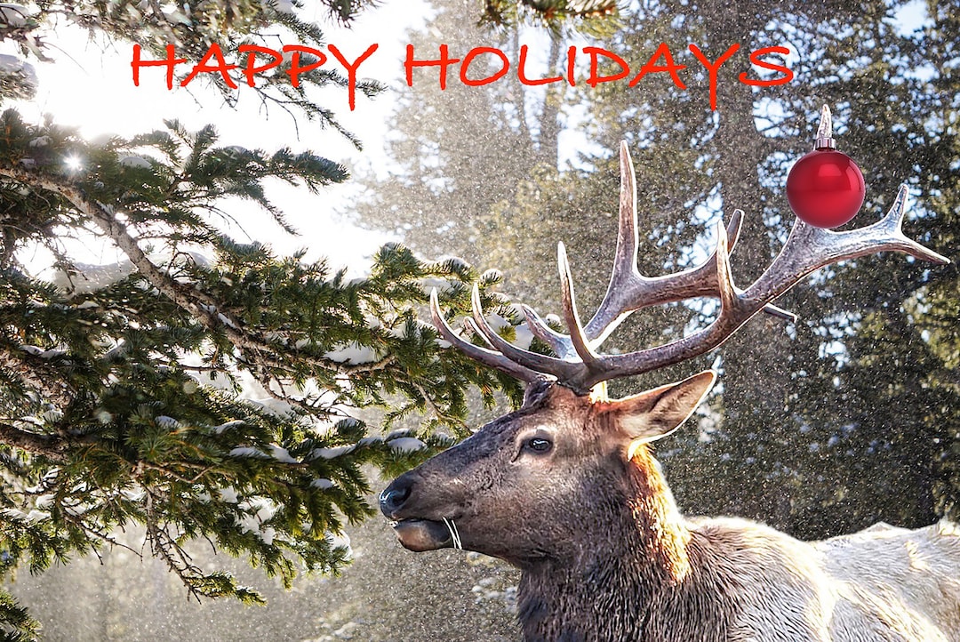 Holiday Elk Card Digital Download - Etsy