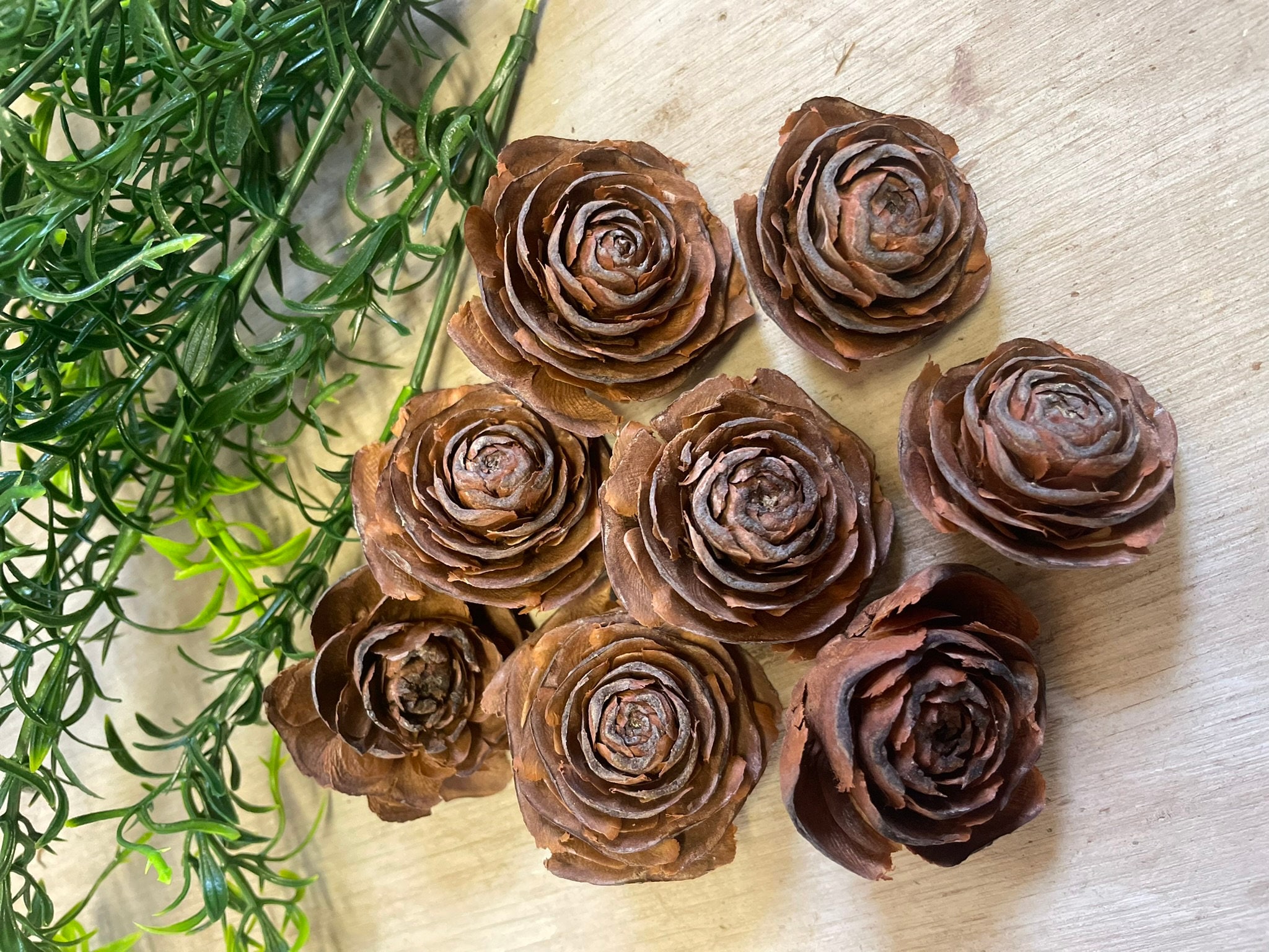 Atlantic Cedar Pine Cone, Rose Pine Cone, Wreaths Craft, Potpourri ...