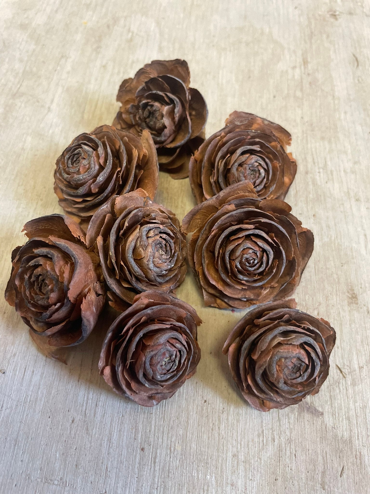 Atlantic Cedar Pine Cone, Rose Pine Cone, Wreaths Craft, Potpourri ...