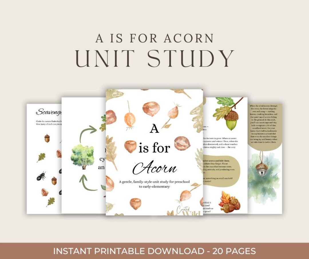 A is for Acorn | Nature Preschool & Early Elementary Unit | Faith-based ...