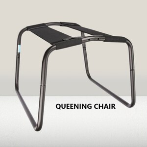 QUEENING Chair Face Sitting Oral Sex Extreme Fun Chair Female ...