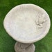 Toadstool Concrete Birds Bath Statue Massive Birds Bath Figure Outdoor ...