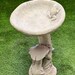 Toadstool Concrete Birds Bath Statue Massive Birds Bath Figure Outdoor ...