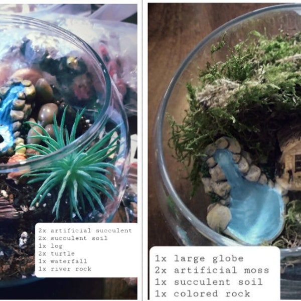 Desktop Terrarium - Etsy