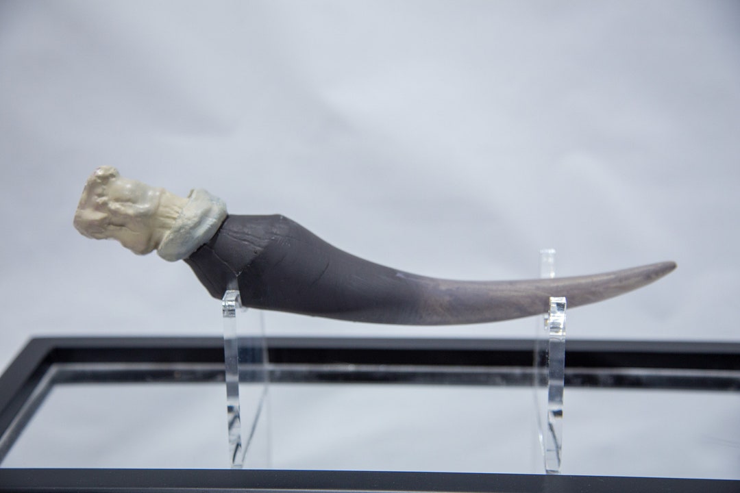 Basilisk Fang From Harry Potter and the Chamber of Secrets Prop Replica ...