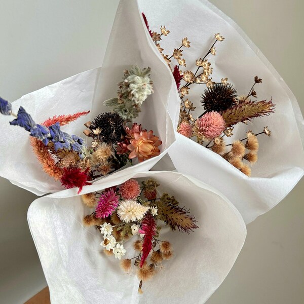 Natural Dried Flower - Etsy