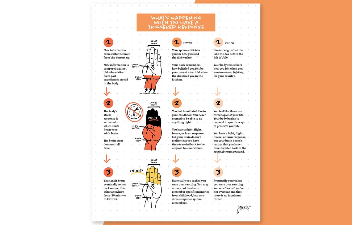 The Triune Brain Hand Model Edition Handout - Etsy