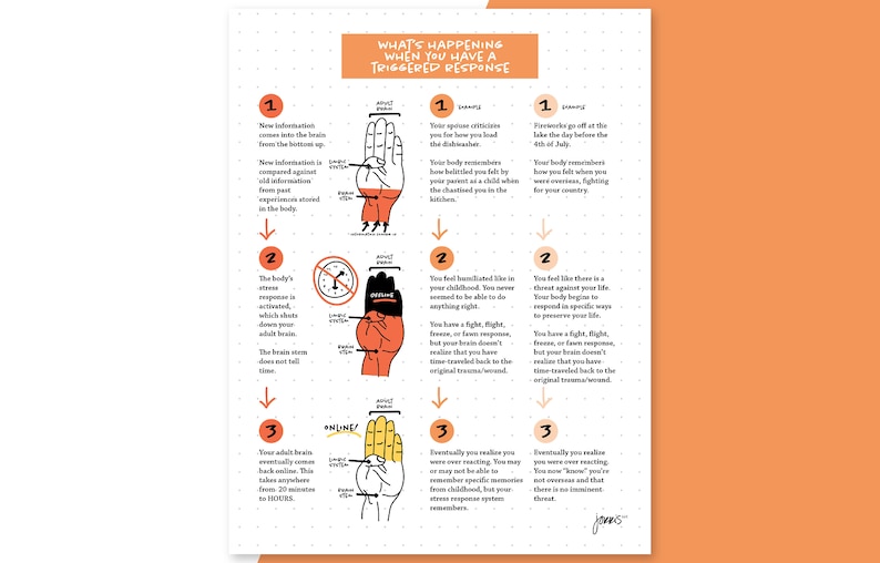 The Triune Brain Hand Model Edition Handout - Etsy