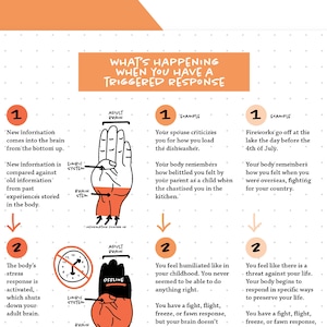 The Triune Brain Hand Model Edition Handout - Etsy